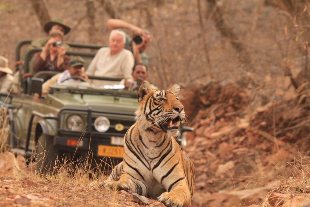 Conan_Dumenil_Tiger Quest16 | Good Nature Travel Blog