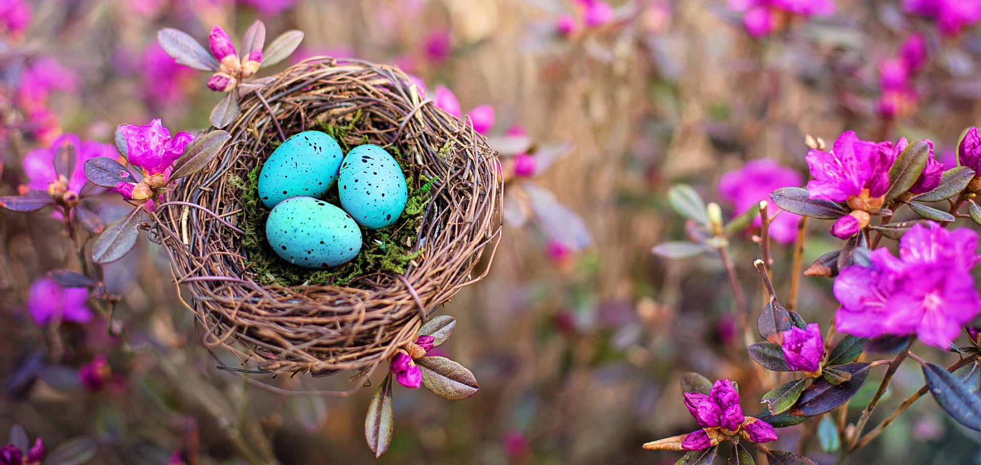 Sounds of Spring: Not Silent Yet