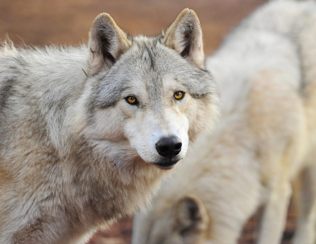 | Good Nature Travel Blog