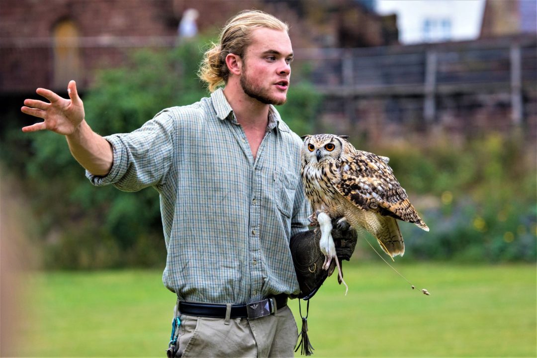 A bird handler with an Indian Eagle-Owl | Good Nature Travel Blog