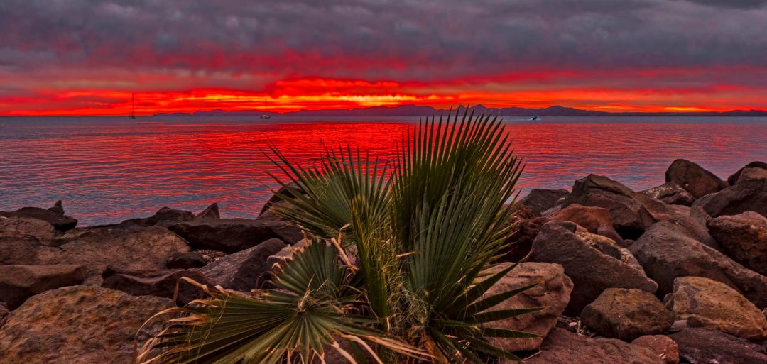 Mexico_Sunrise_DIANA RUSSLER AND BILL GENT 2 fin_Web | Good Nature ...
