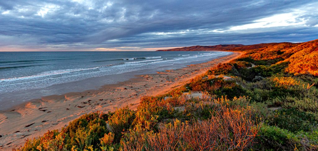 Tasmania_Bakers-Beach-2_Steven-Penton_flickr-fin_Web | Good Nature ...
