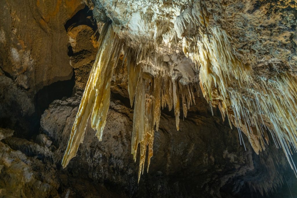 Marakoopa,Cave,In,Tasmania,,Australia | Good Nature Travel Blog