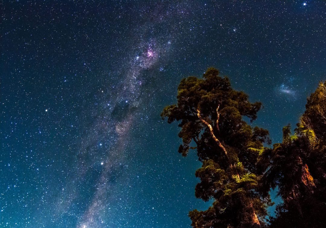 Lake Moeraki New Zealand Stars | Good Nature Travel Blog