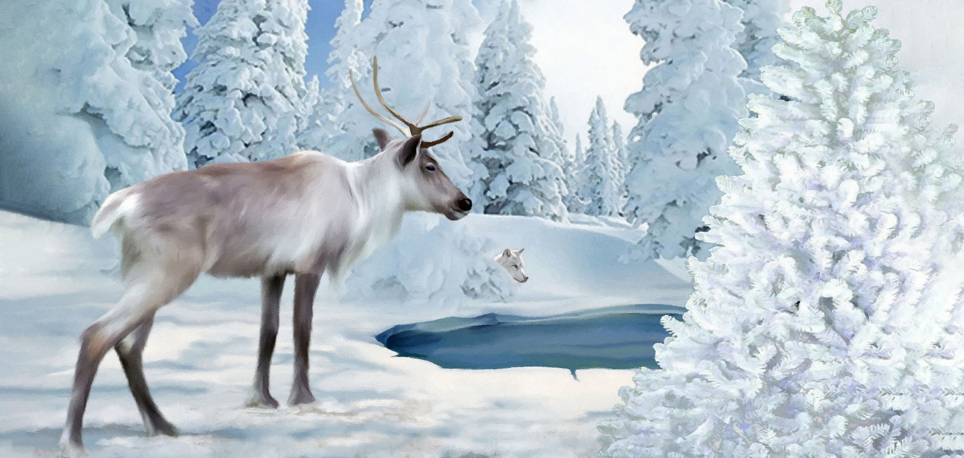 Fantasy Reindeer 2_Illustration_fin_Web | Good Nature Travel Blog