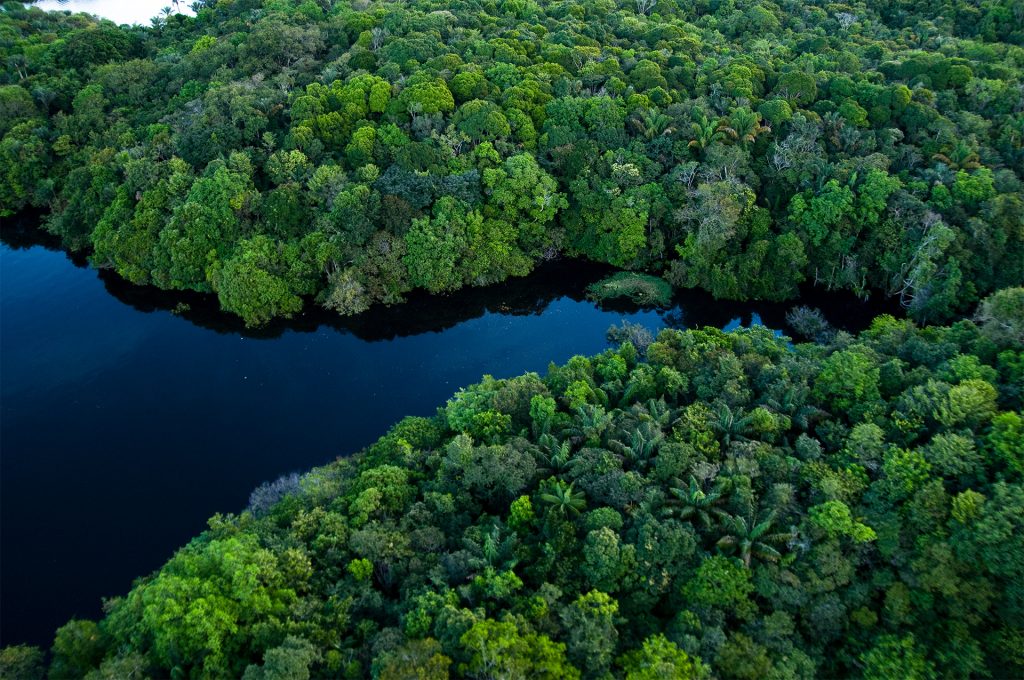 Aerial,View,Of,River,In,Rainforest.,Amazon,Rainforest,Near,Manaus ...