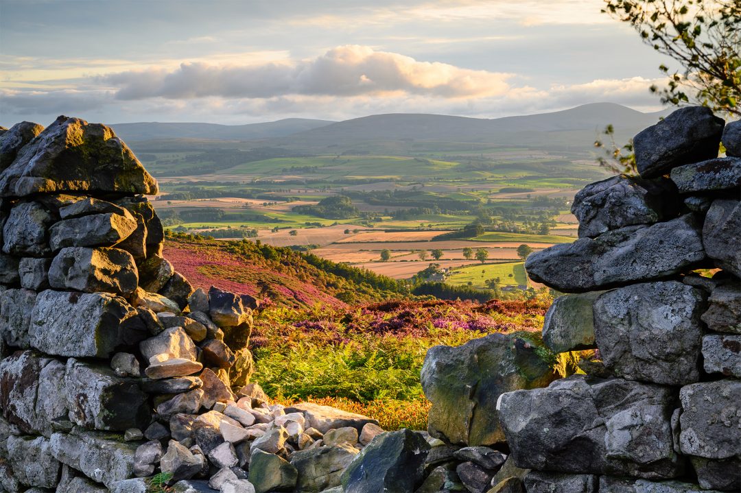 Ros Castle view looking west through Dry Stone Wall | Good Nature ...