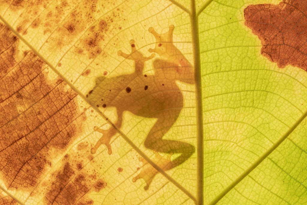 1920 blog-1 | Good Nature Travel Blog