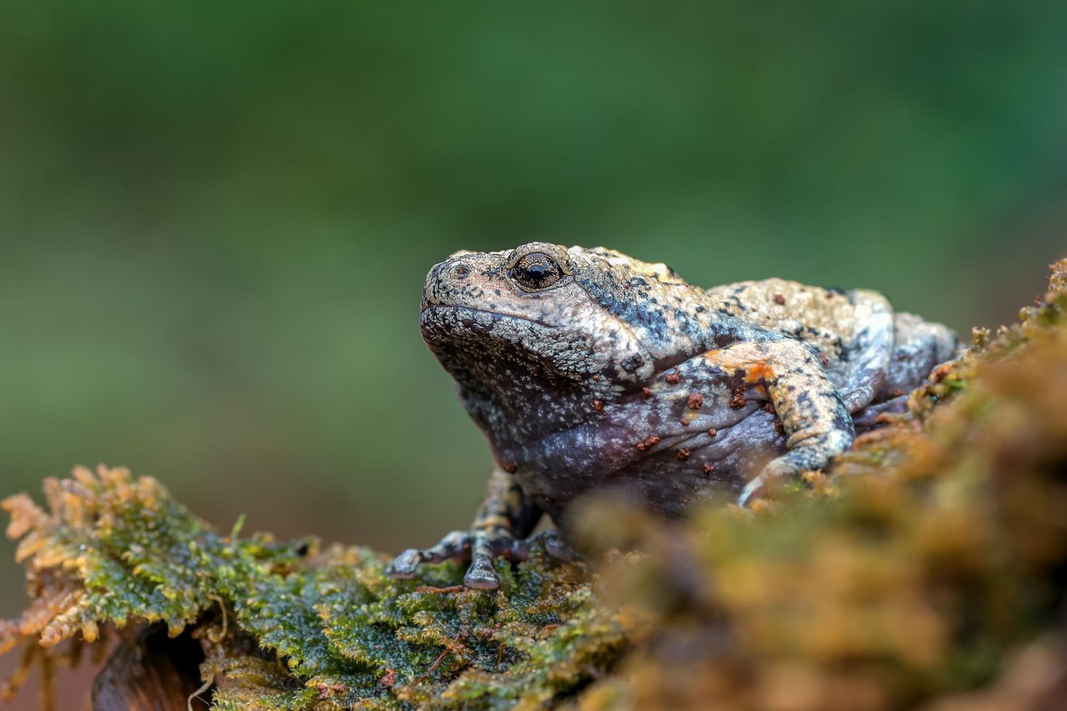 1920 blog-1 (18) | Good Nature Travel Blog