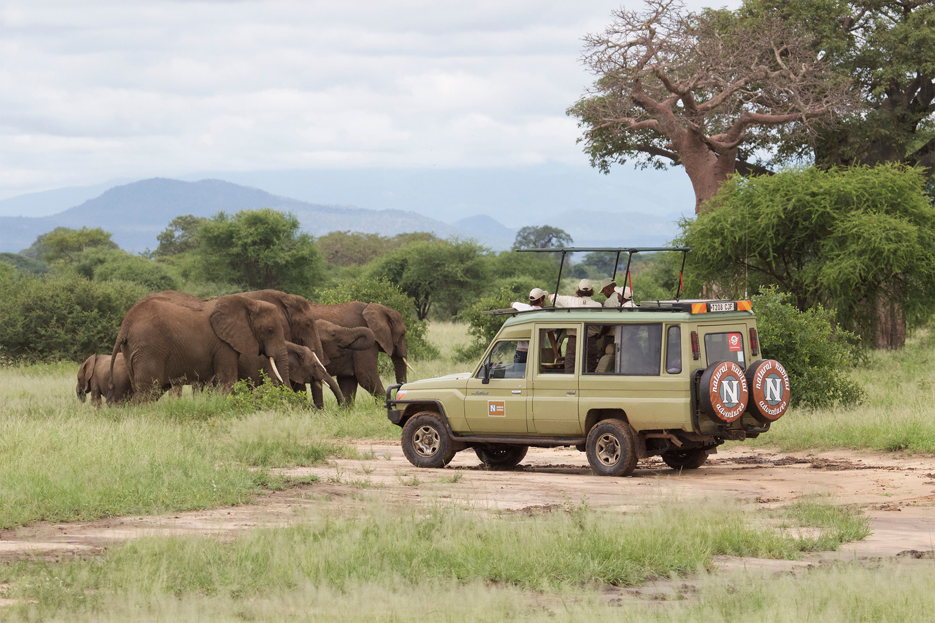 Top 8 Wildlife Experiences on an East Africa Safari