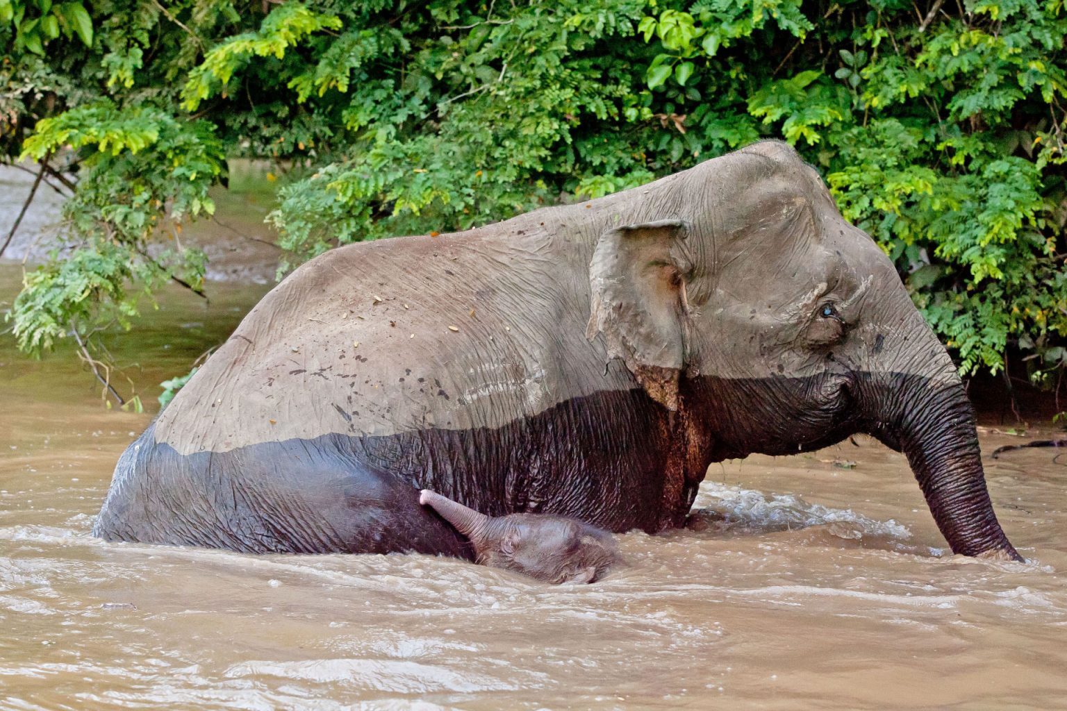 1920 blog-1 (1) | Good Nature Travel Blog