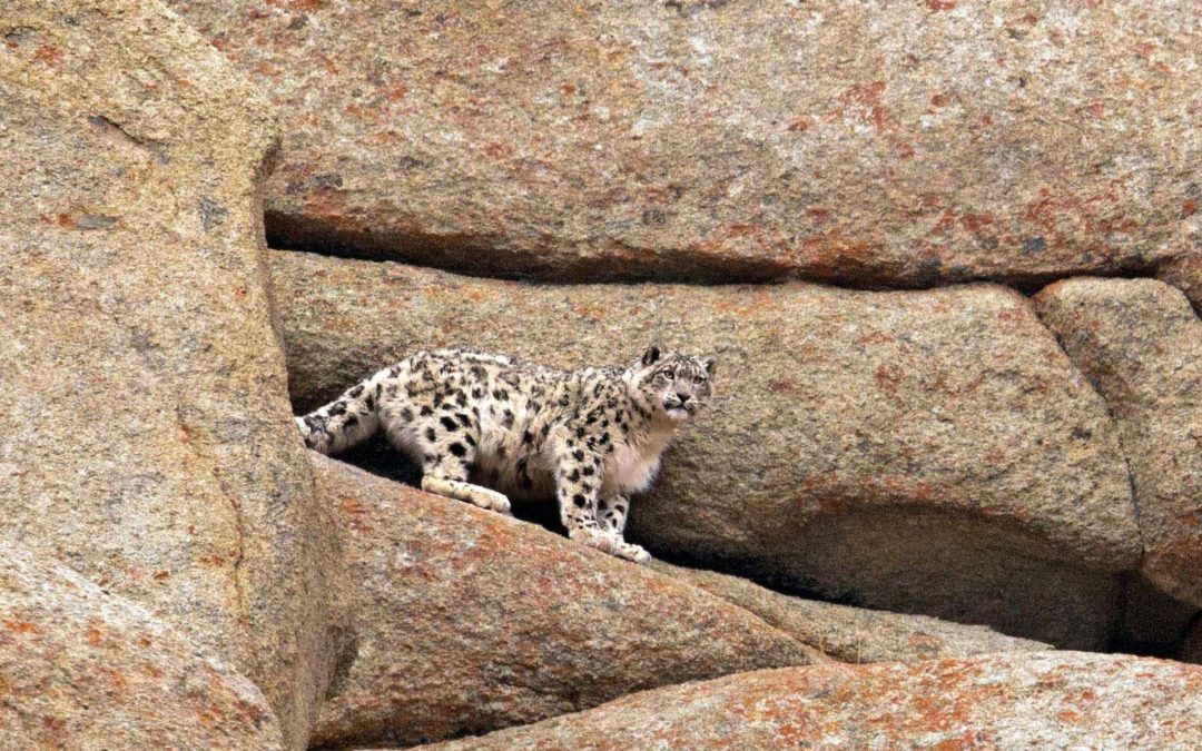 1920 blog-1 (13) | Good Nature Travel Blog