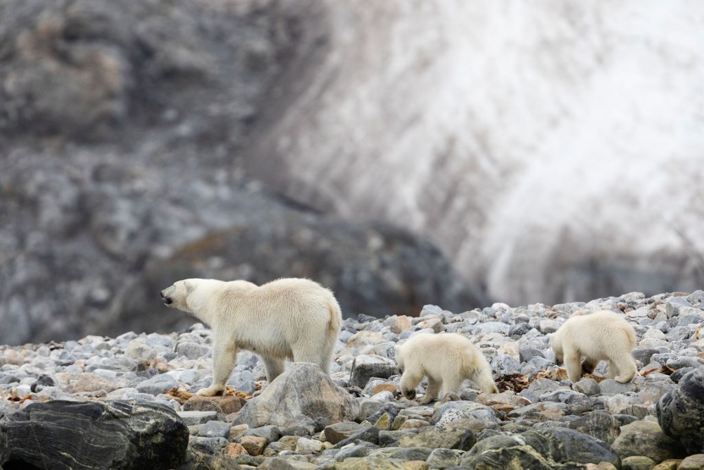 1920 blog-1 (14) | Good Nature Travel Blog