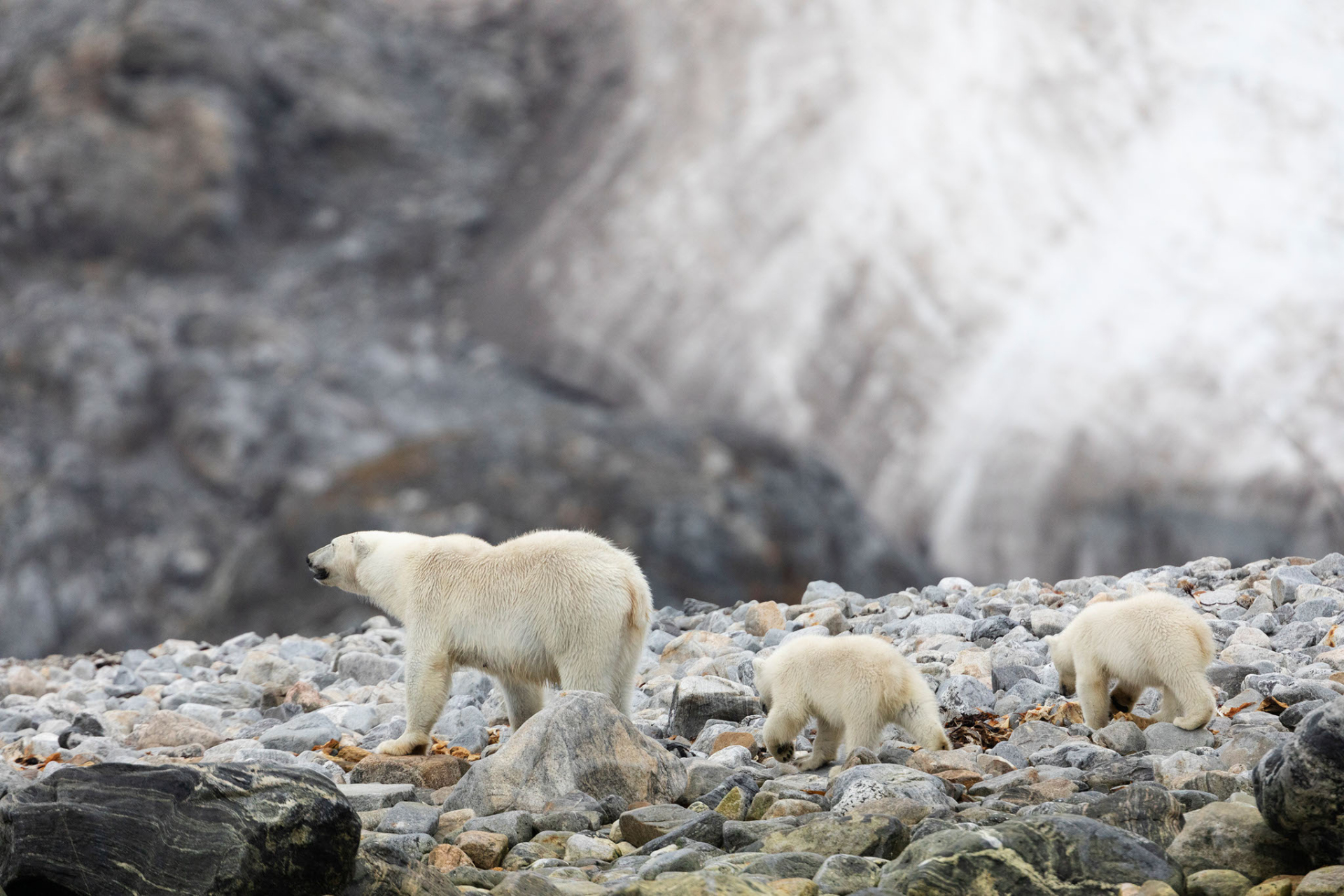 1920 blog-1 (14) | Good Nature Travel Blog