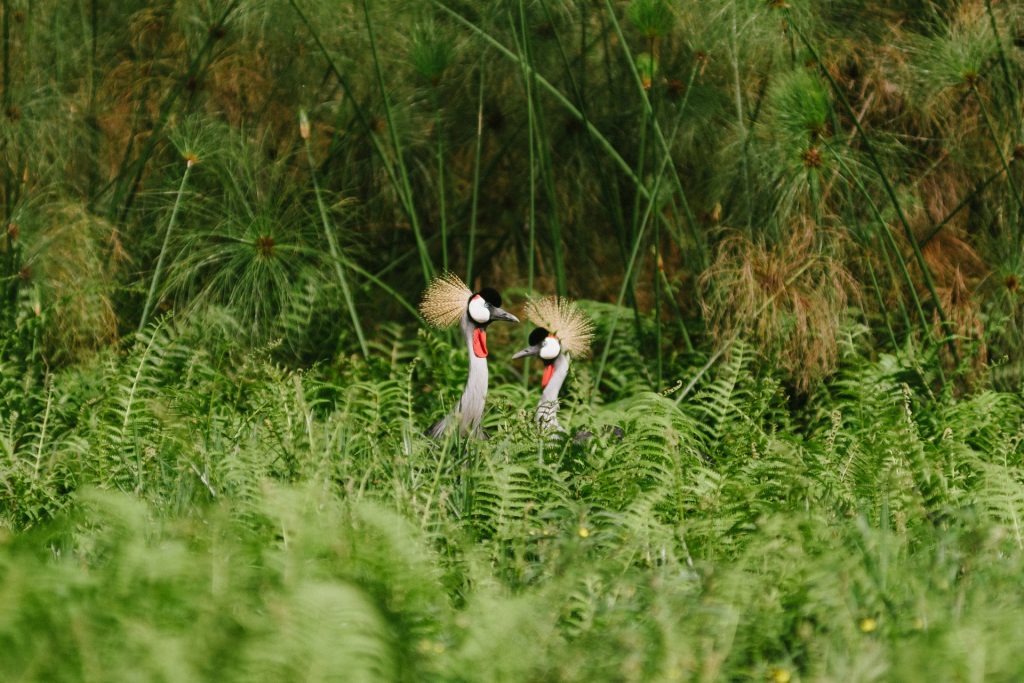 1920 blog-1 (2) | Good Nature Travel Blog