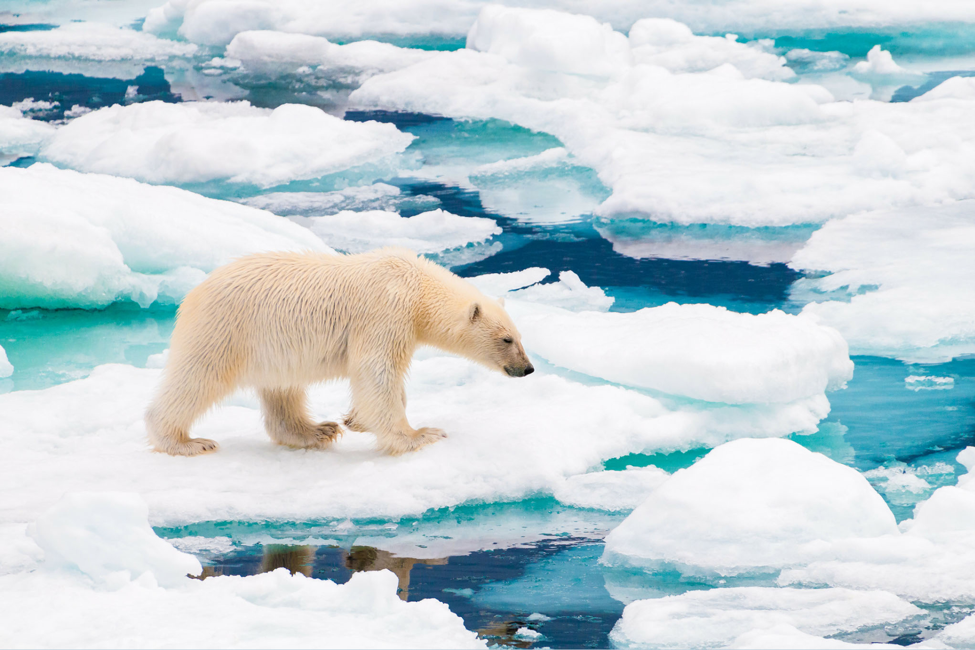 1920 blog-1 (21) | Good Nature Travel Blog