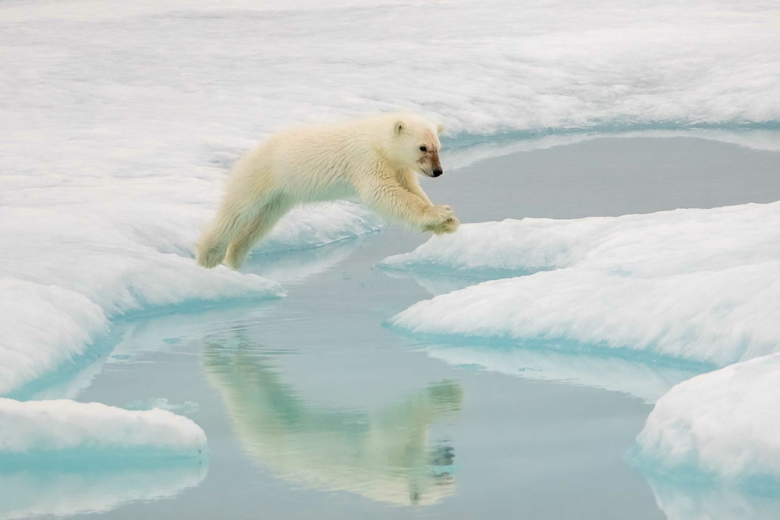 1920 blog-1 (24) | Good Nature Travel Blog