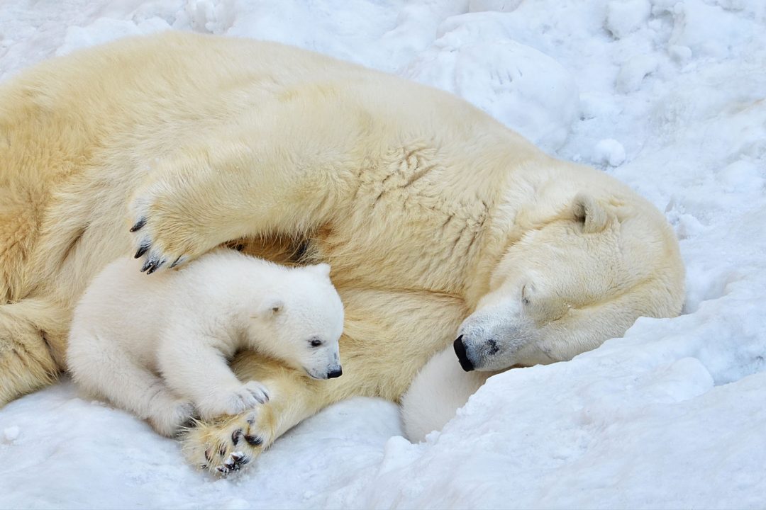 1920 blog-1 (25) | Good Nature Travel Blog