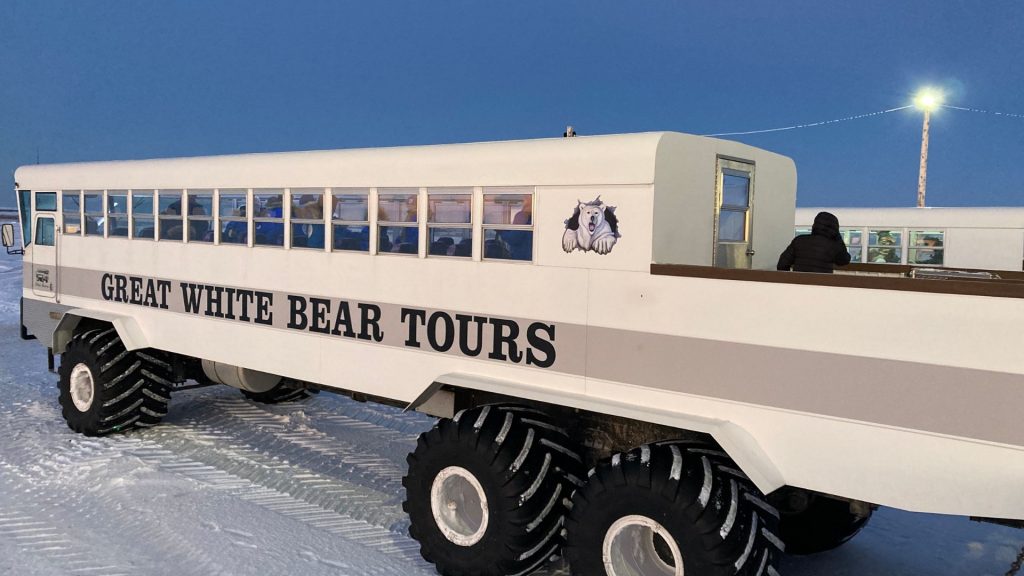 Great White Bear Tours Vehicle | Good Nature Travel Blog
