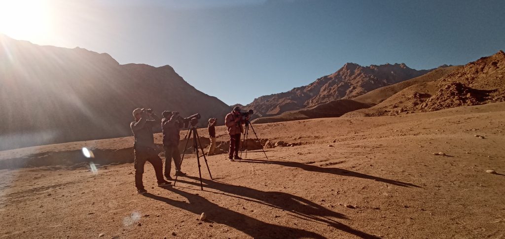 India_Conan_Ladakh_India_SNL_spotting_at_sunset_ | Good Nature Travel Blog