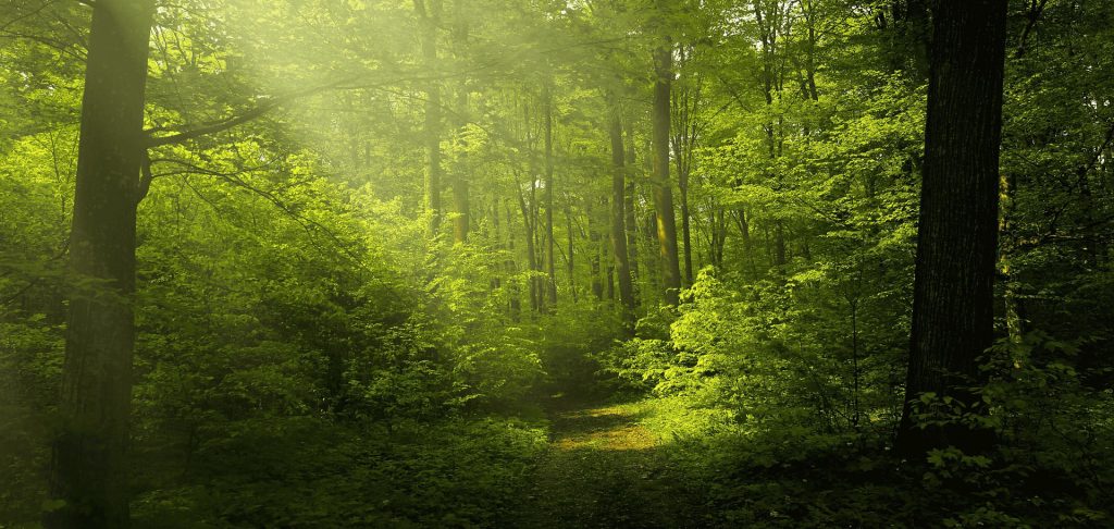 Planet Hope 9 fin_Web | Good Nature Travel Blog