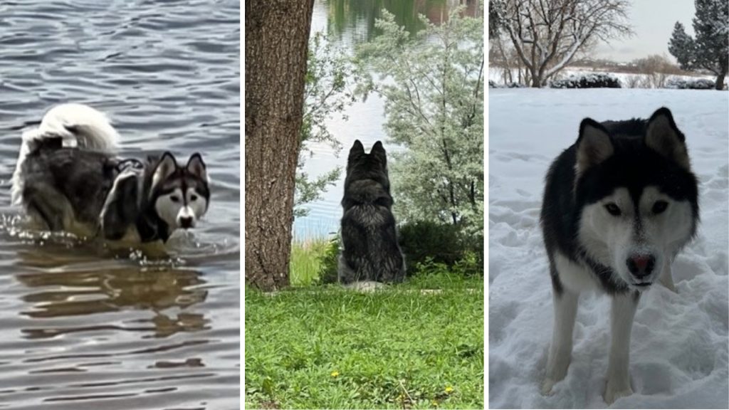 1920 blog-1 | Good Nature Travel Blog