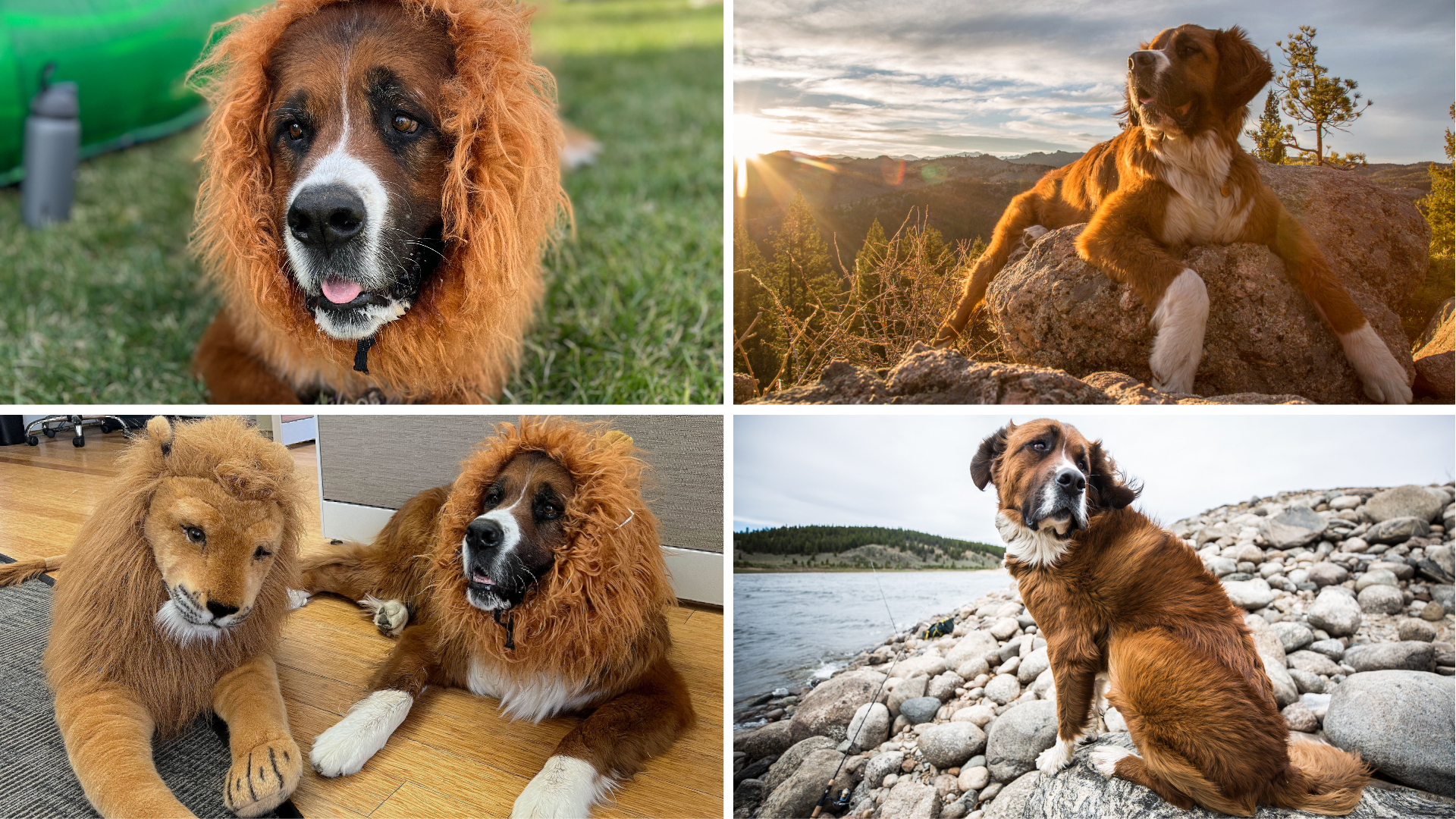 1920 blog-1 (3) | Good Nature Travel Blog