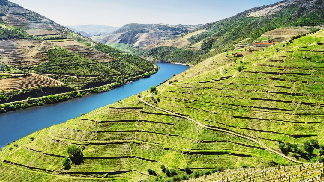 1920 blog (10) | Good Nature Travel Blog