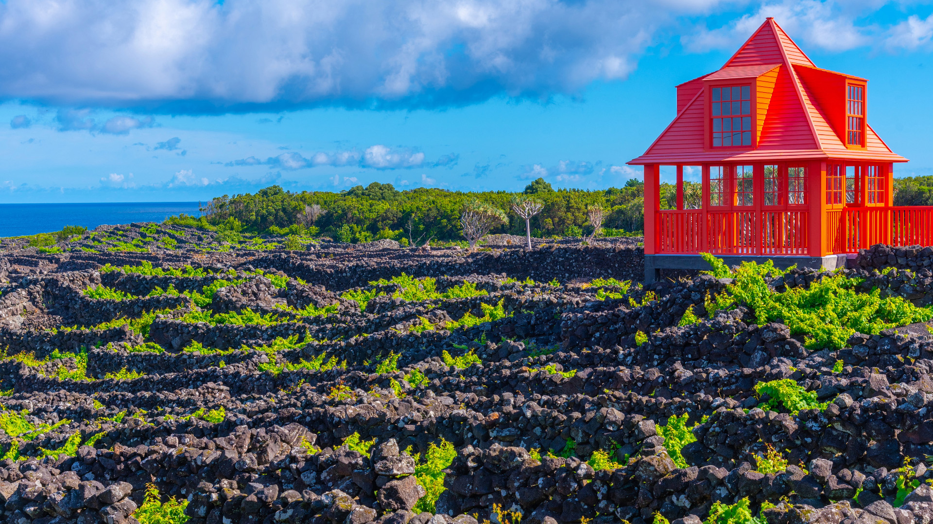 1920 blog (16) | Good Nature Travel Blog