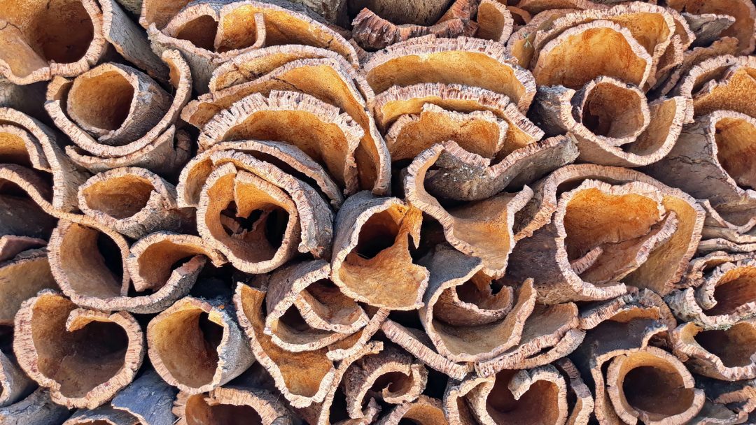 1920 blog (25) | Good Nature Travel Blog