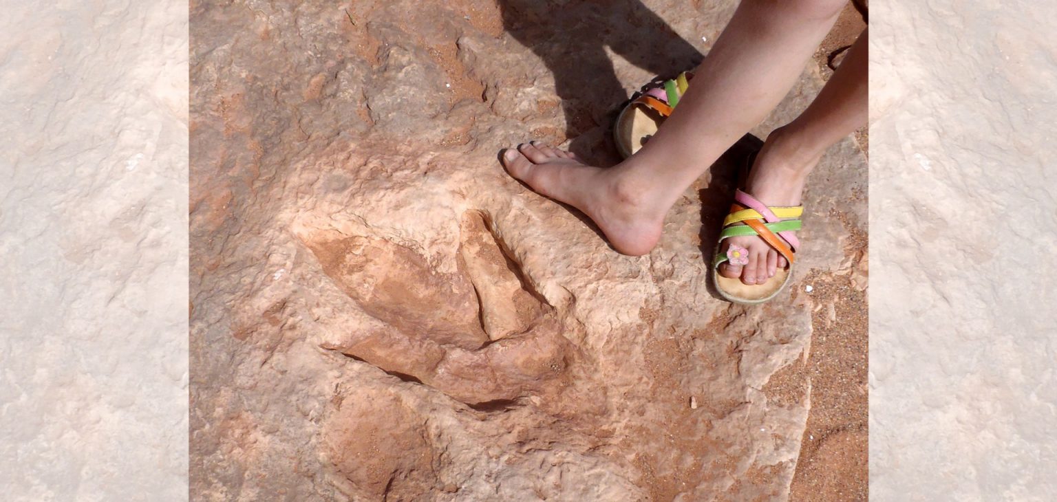 Dinosaur Track_Arizona_Mia & Steve Mestdagh_flickr fin_Web | Good ...