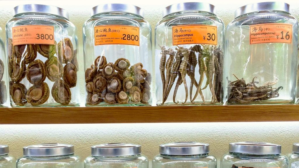 1920 blog | Good Nature Travel Blog