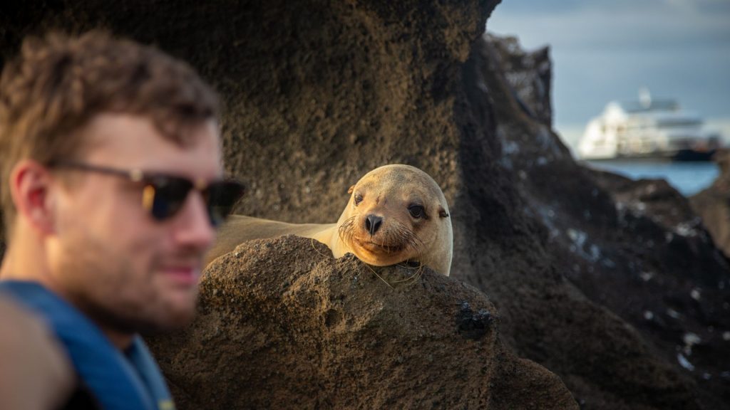 Sea lion and person in Galapagos | Good Nature Travel Blog