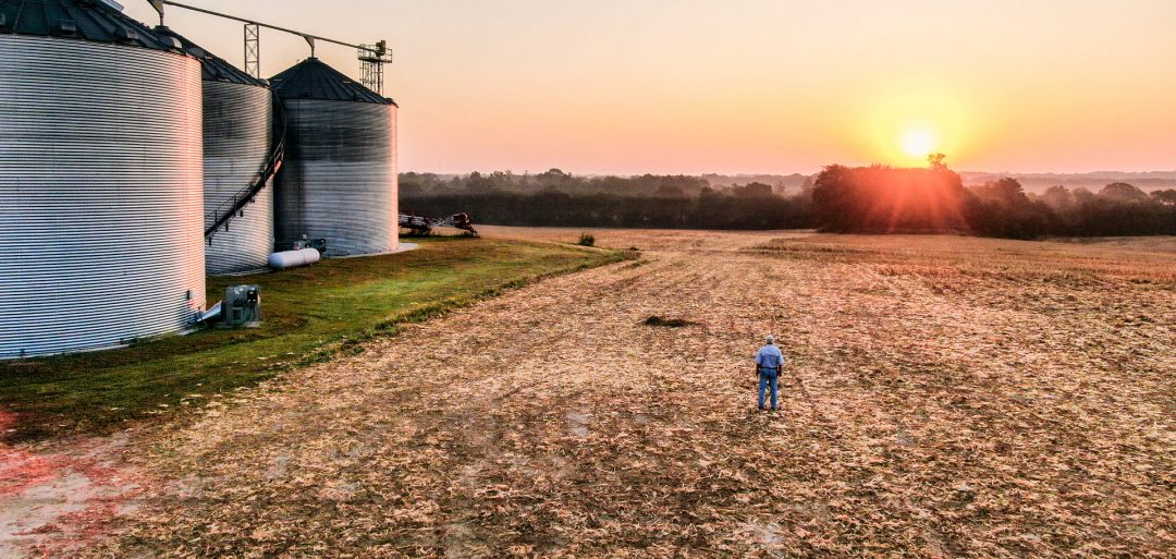 Cropland Soil_Corn 2_Public Domain fin_Web | Good Nature Travel Blog