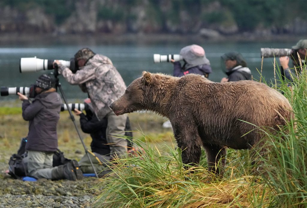 Natural Habitat Adventures-US_Alaska_DSC08487 | Good Nature Travel Blog