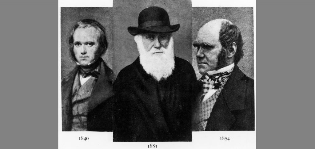 Darwin_Everett-Collection_shutterstock_fin_Web | Good Nature Travel Blog